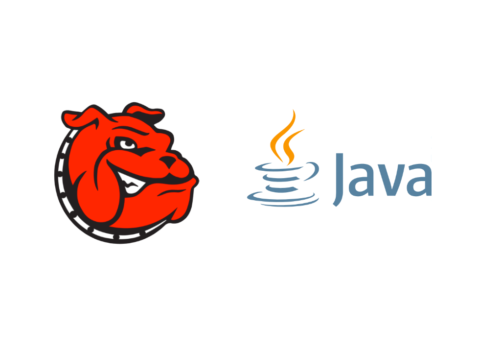 Junior Java software developer/consultant bij IT-Topdogs - IT Topdogs